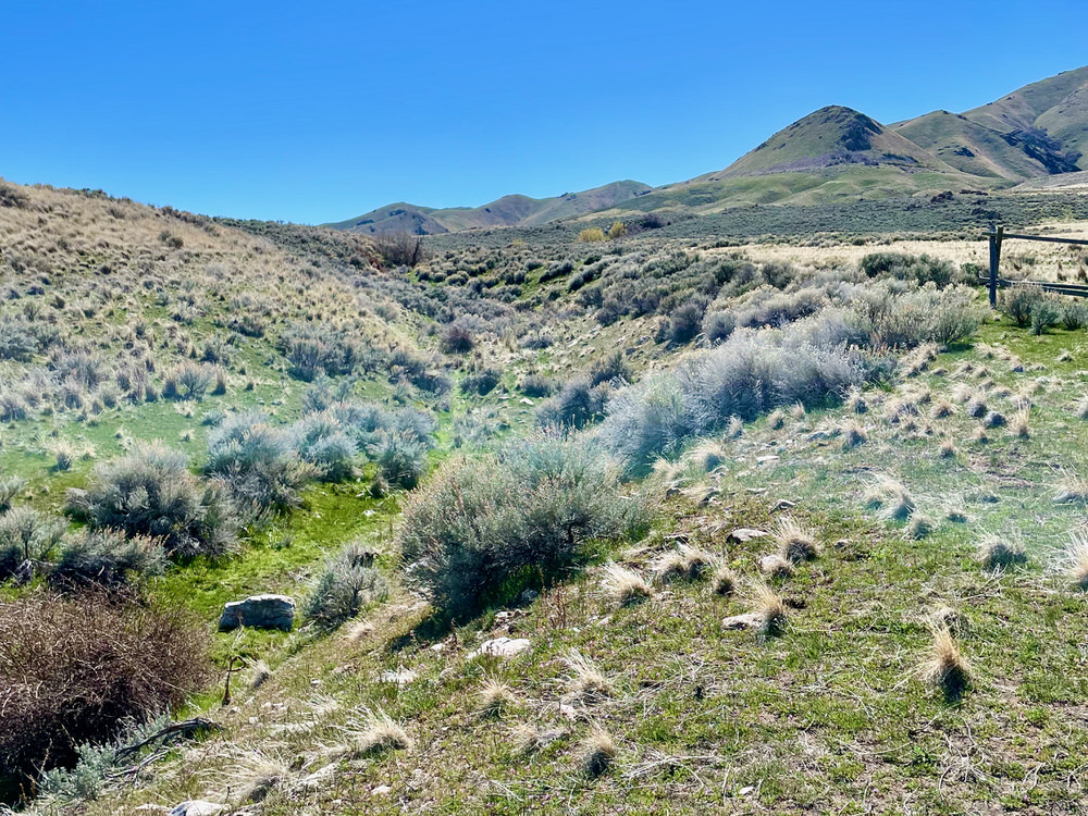 What To Do at Utah's Antelope Island State Park