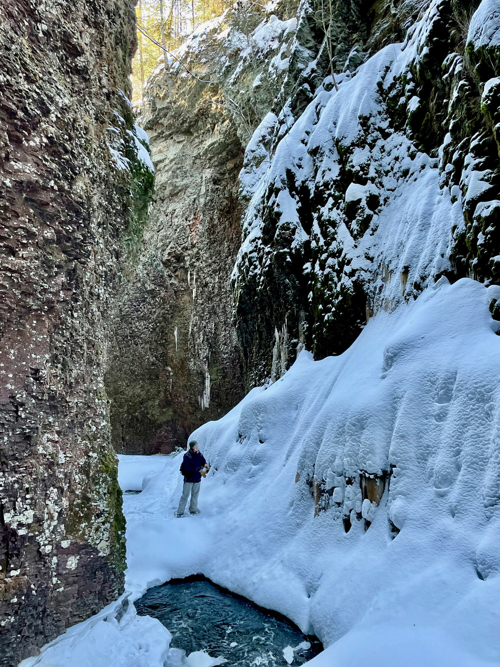 7 Best Winter Hiking Trails in Northern Minnesota