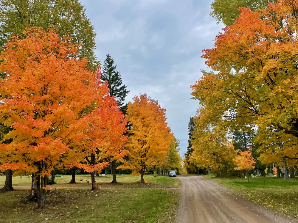 Best Things to Do On North Shore MN This Fall