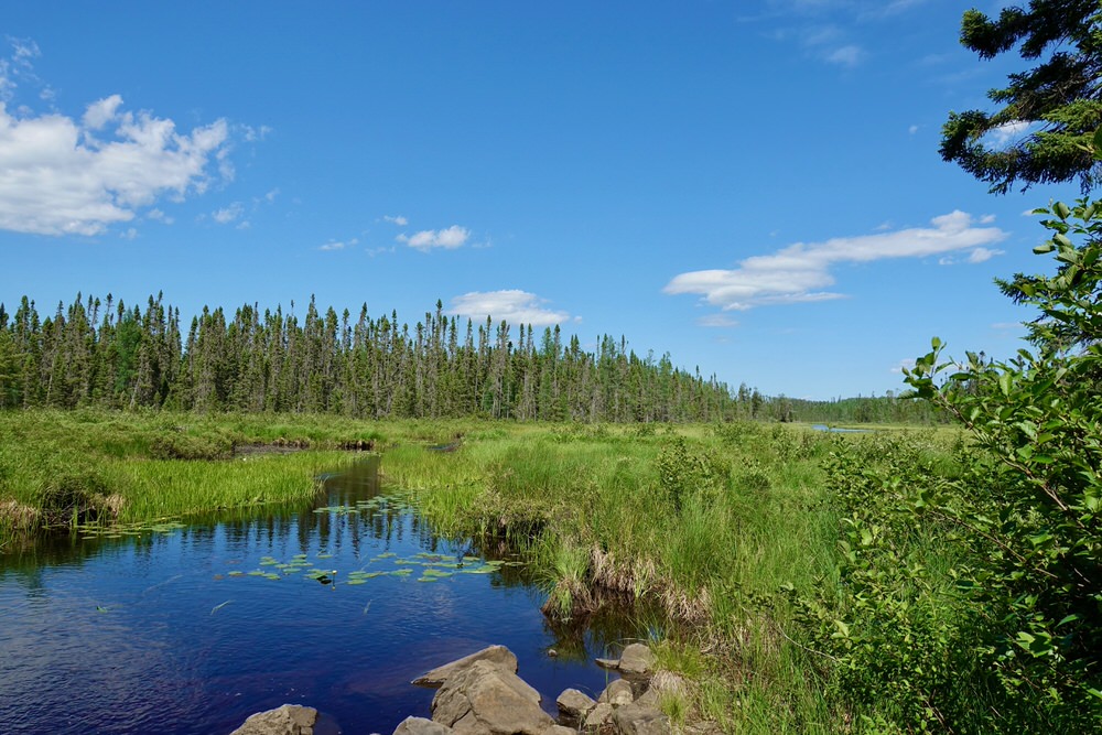 10 Best Things To Do in the Boundary Waters