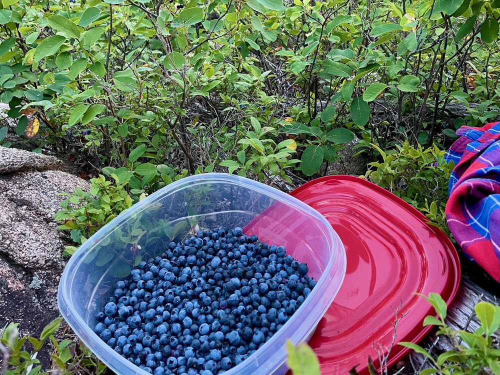 10 Best Things To Do in the Boundary Waters